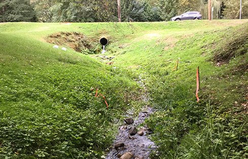 Newport Way Culvert and Roadway Improvements – GeoEngineers