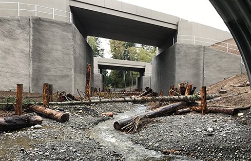 Padden Creek Fish-Passage Project Wins ACEC WA Award – GeoEngineers